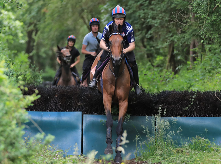 About Us - Station Yard